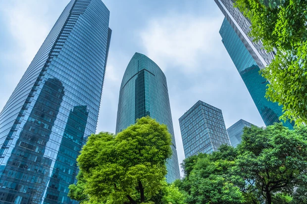 Exposure To Natural Light Improves Workplace Performance | Contexture